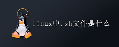 linux中 sh文件是什么？怎么执行？ csdn博客