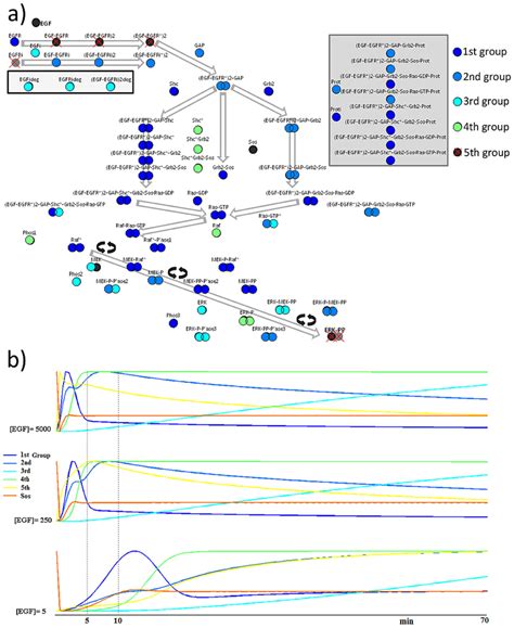 protein groups from consensus clustering a an “aggregated” clustering