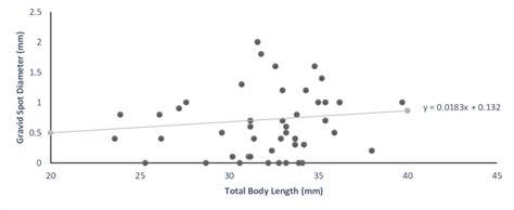 Relationship Between Total Body Length And Gravid Spot Diameter Of All Download Scientific
