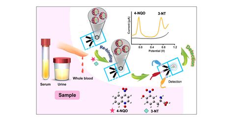 Facile And Compact Electrochemical Paper Based Analytical Device For