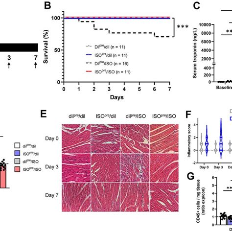 Characterization Of Iso Induced Model Of Preconditioning Download Scientific Diagram