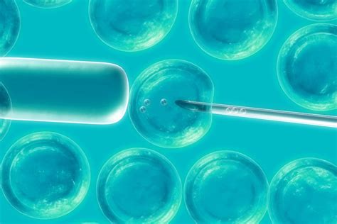 New Faster Stem Cell Reprogramming And Gene Correction Method Regmednet
