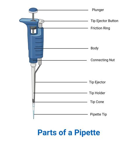Guide To Pipettes Principle Types And Key Uses Guide To Pipettes Principle Types And Key Uses