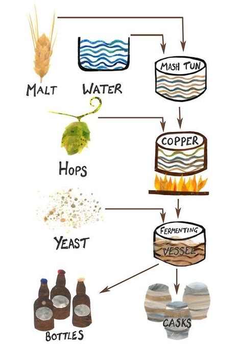 Diagram Of Brewing Process Quizlet
