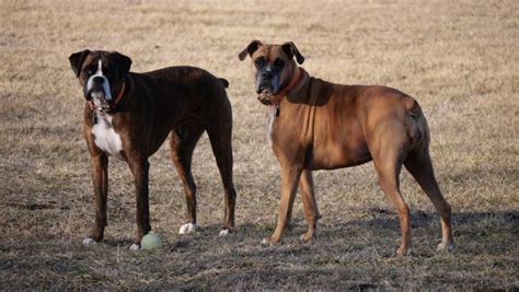 Kyle Chrisman On Linkedin I Dont Share A Lot Of My Personal Life On Here But This Morning I