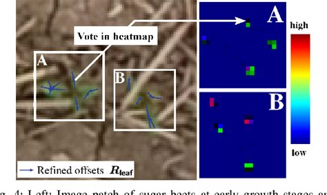 Figure 2 From Joint Plant And Leaf Instance Segmentation On Field Scale