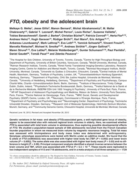 Pdf Fto Obesity And The Adolescent Brain