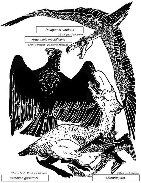 Pelagornis Sandersi Vs Argentavis