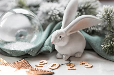 아름다운 휴일 카드 새해 복 많이 받으세요와 크리스마스의 개념 올해의 상징은 전나무 가지와 숫자 2023의 배경에 흰 토끼입니다 0명에 대한 스톡 사진 및 기타 이미지