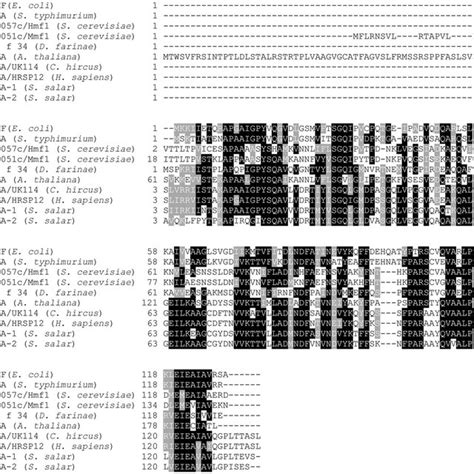 Native Ms Analysis Esi Mass Spectra Of 05 Mgml Ss Rida 1 And 05