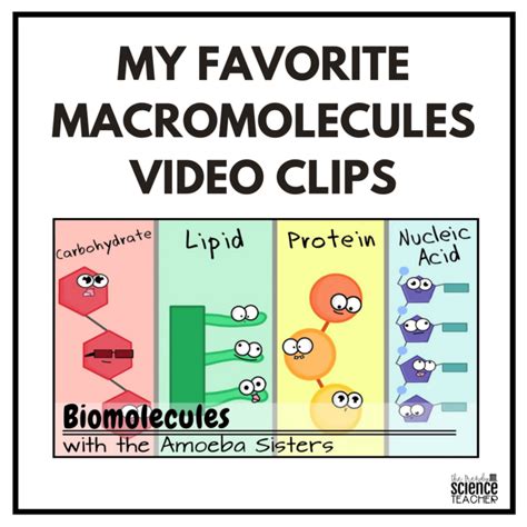Teaching Macromolecules In Biology ⋆ The Trendy Science Teacher