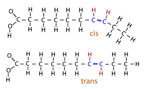 Има ли нужда тялото ни от мазнини
