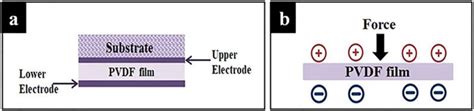 A Pvdf Piezoelectric Tactile Sensor Basic Structure B Pvdf Download Scientific Diagram