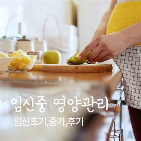 임신초기중기후기 맞춤형 영양 관리 네이버 블로그