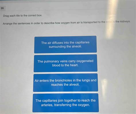 Solved 35 Drag Each Tile To The Correct Box Arrange The Sentences In Order To Describe How