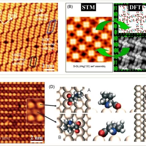 Characterization Of Single Amino Acid Self‐assembly By Stm And Afm A Download Scientific