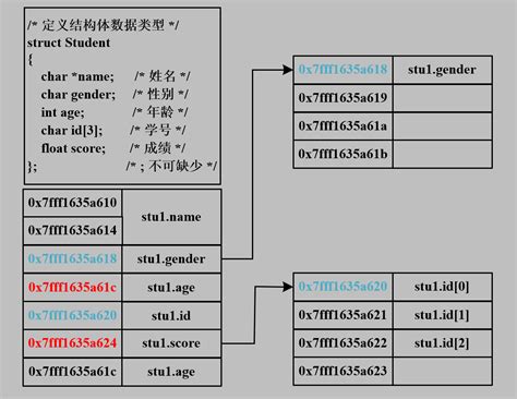 lv01 15 c语言 自定义数据类型 苏木