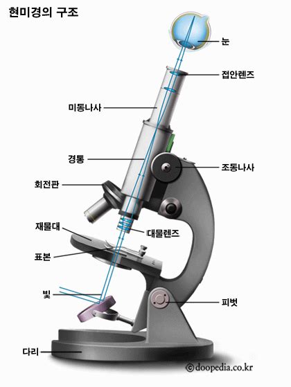 광학현미경 사용법 네이버 블로그