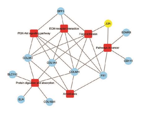 networks between dems and target degs and significant degs and pathway