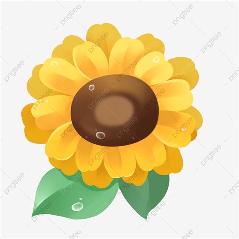 노란 해바라기 일러스트 노랑 꽃들 태양 꽃 Png 일러스트 및 Psd 이미지 무료 다운로드 Pngtree