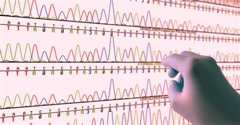 Challenges In Whole Genome Sequencing Genetic Education
