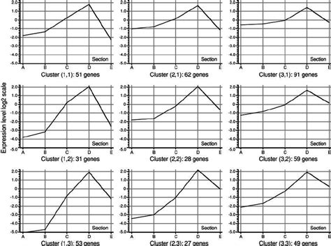 Clustering Using Self Organizing Maps Of 450 Genes Genes With Less