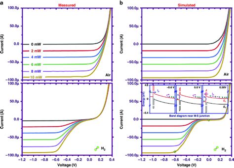 Quantitative Description Of The Hydrogen Induced S Kink Effect Using