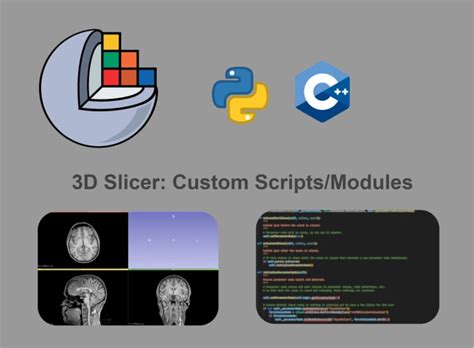 Create Custom Modules And Scripts In 3d Slicer For You By Mikefan Fiverr