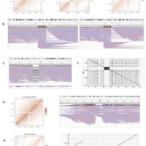 Nanopore Sequencing And Current Signals Image Adapted From Oxford
