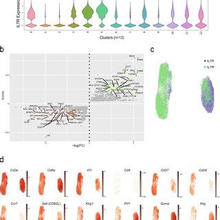 ScRNA Seq Method And Quality Control A Overview Of The ScRNA Seq