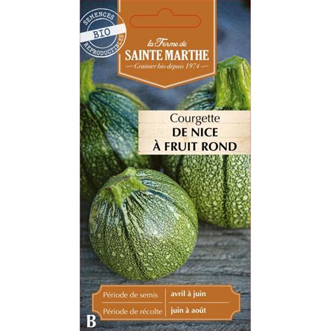 Courgette De Nice A Fruit Rond Bio Sainte Marth De La Ferme De Sai