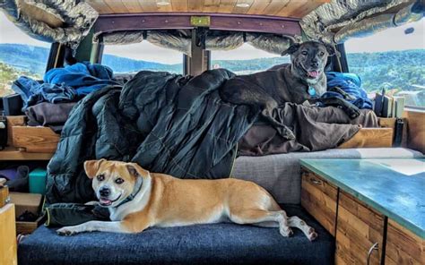 Best RVs For Traveling With Pets - Camp Happy RV