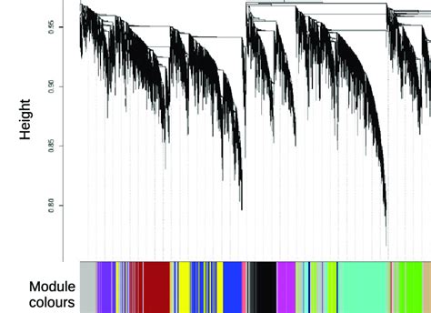 Gene Coexpression Modules A Consensus Fertile Network Generated Download Scientific Diagram