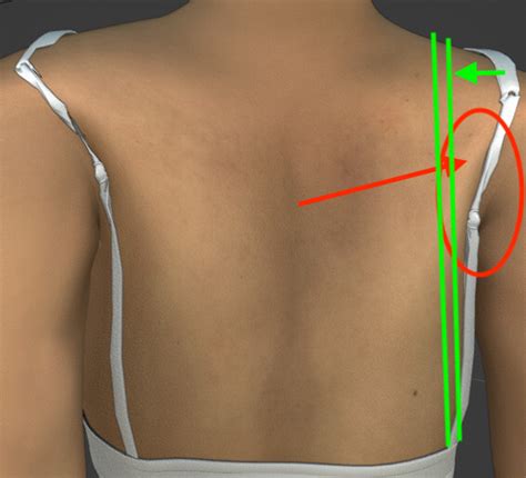 Rig Underwear Problem Animation And Rigging Blender Artists Community