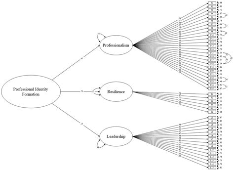 Higher Order Model Of Professional Identity Formation Download Scientific Diagram