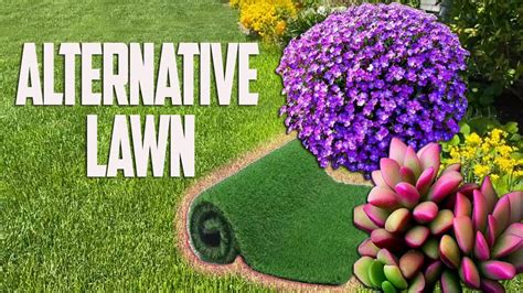 Alternatives To Grass Lawn Ontario At Jack Belser Blog
