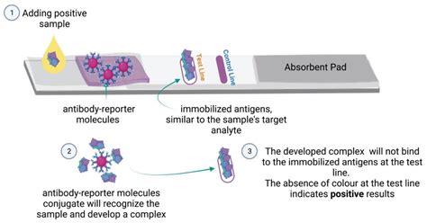 Lateral Flow Immunoassays For Detecting Viral Infectious Antigens And