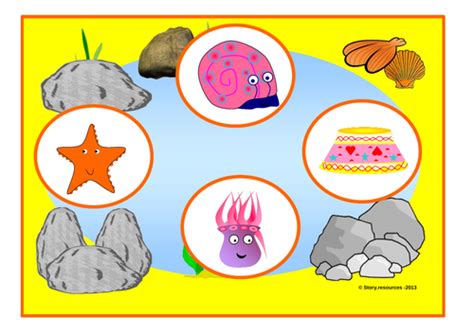 Sharing A Shell Story Sack Teaching Resources Eyfs Ks1 Seaside