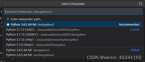 Vscode报错import “torch“ Could Not Be Resolvedimport Torch Could Not Be Resolved Csdn博客