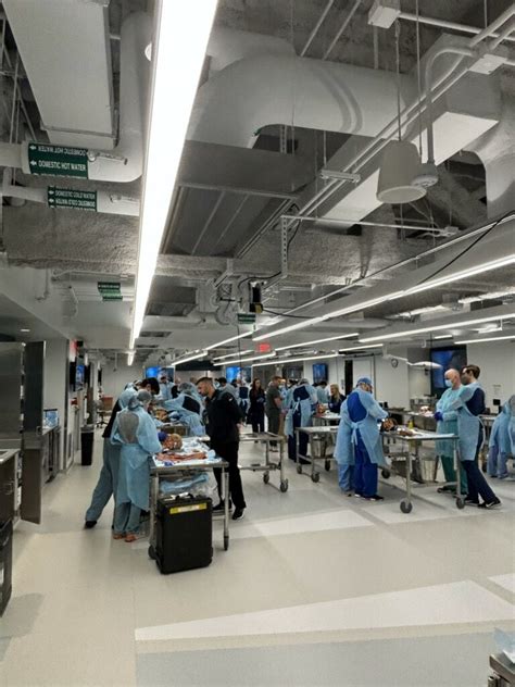 First Advanced Course On Microvascular Reconstruction Eye And Ear