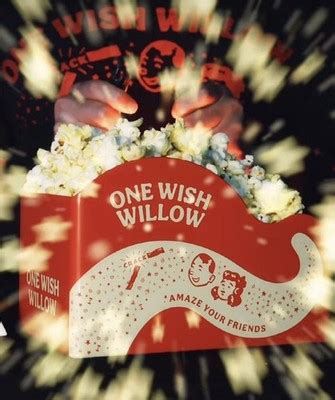 Obsession One Wish Willow Tin Popcorn Bucket Amc Limited Exclusive