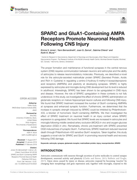 Pdf Sparc And Glua1 Containing Ampa Receptors Promote Neuronal Health