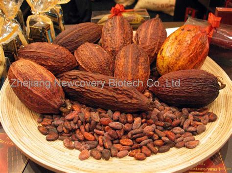 Cocoa Extract China Price Supplier 21food