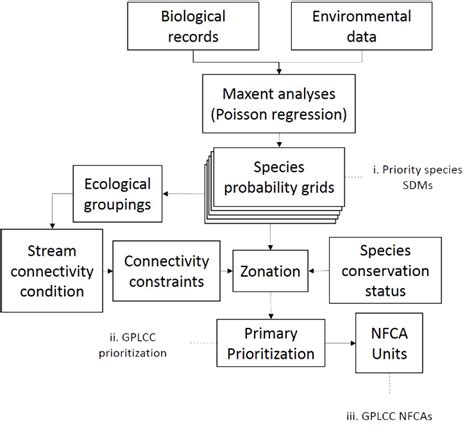 Conservation Assessment Native Fish Conservation