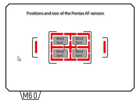 What You Need To Know About Your Camera S Auto Focus System Light Stalking