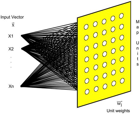 Input And Output Connections In The Neural Network Of A Self Organizing