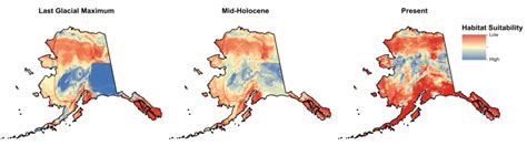 Maxent Environmental Niche Model Enm Maps Of Alaska United States Download Scientific