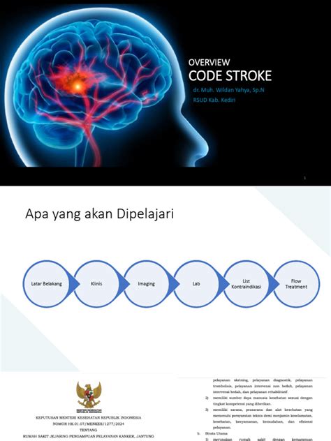 Overview Code Stroke Pdf