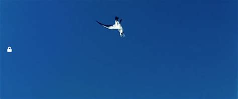 github hoangvu12 videojs overlay buttons a buttons overlay for videojs