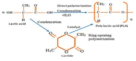 Pla Polymerization [46] Download Scientific Diagram